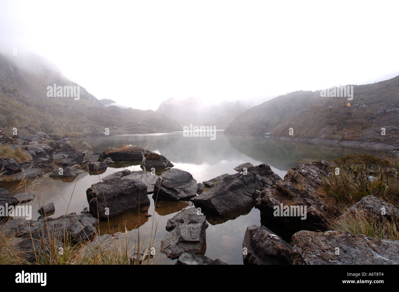 National Park Merida state The Andes Venezuela South America Stock ...