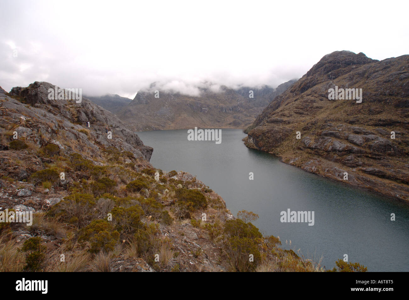 National Park Merida state The Andes Venezuela South America Stock ...