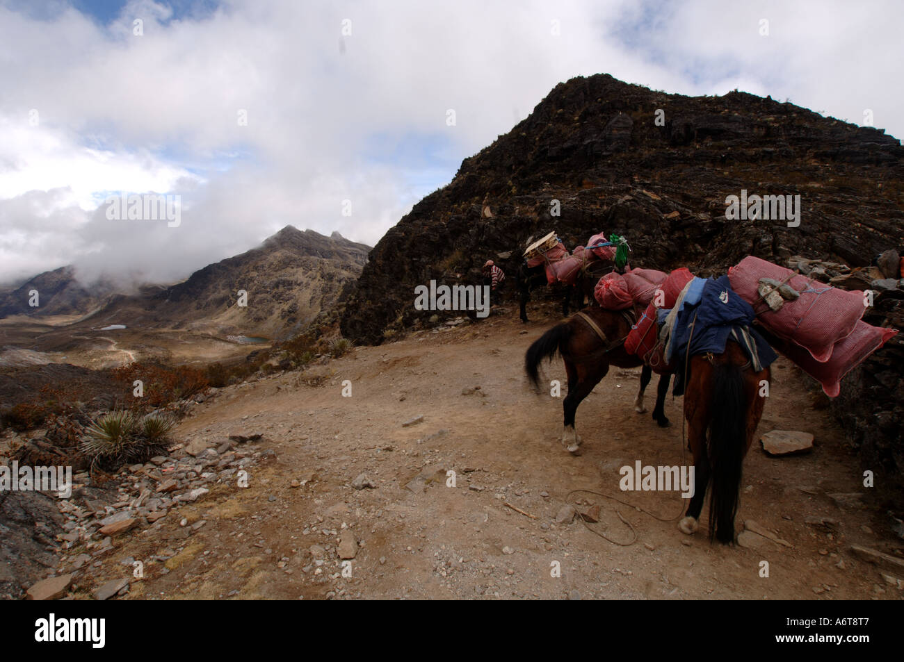 National Park Merida state The Andes Venezuela South America Stock ...