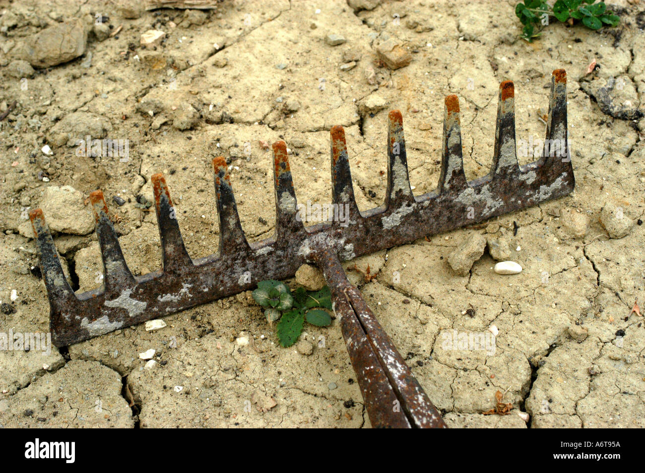 A rusty garden rake on cracked earth Stock Photo - Alamy