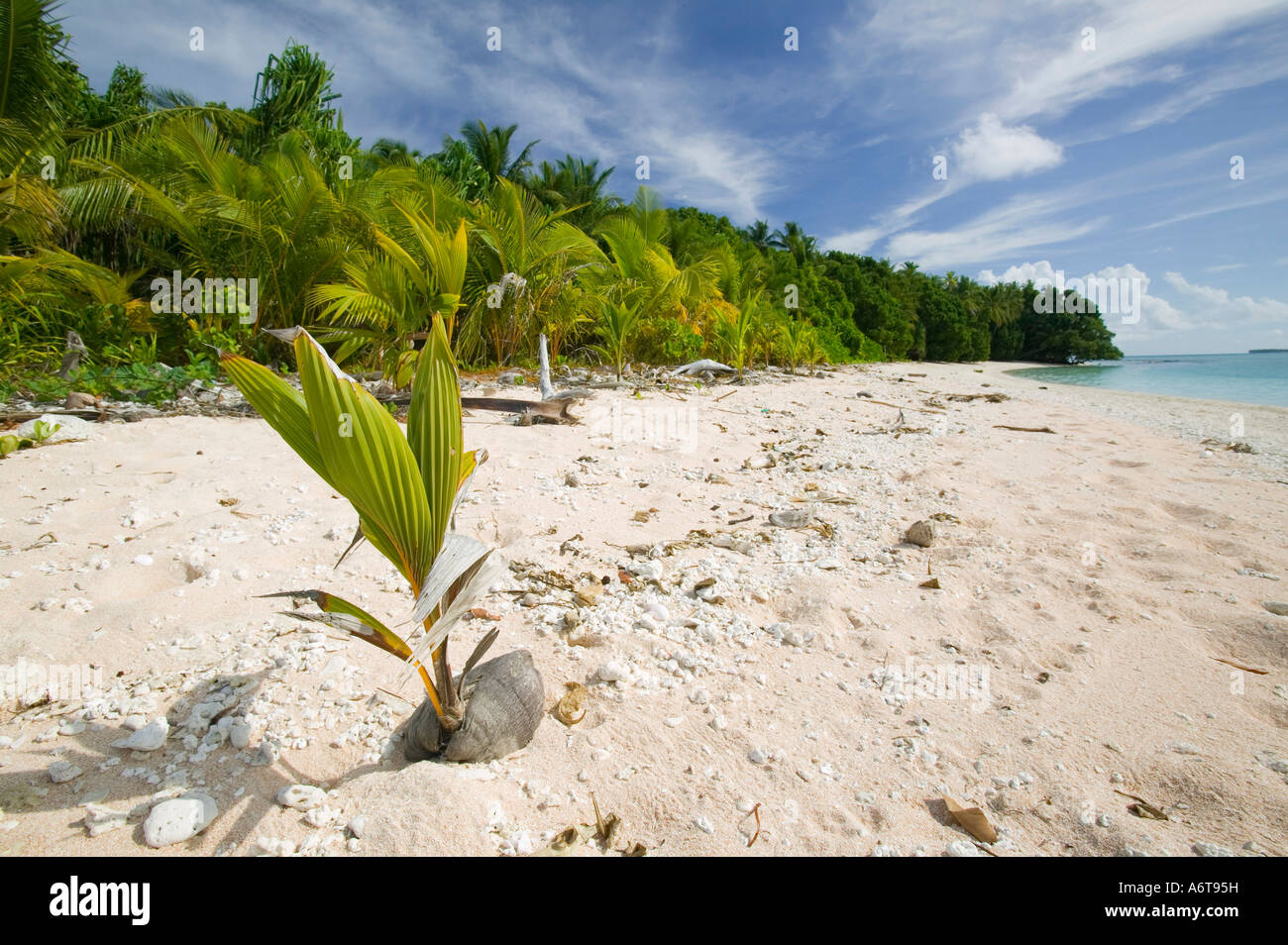 Tuvalu beach hi-res stock photography and images - Alamy