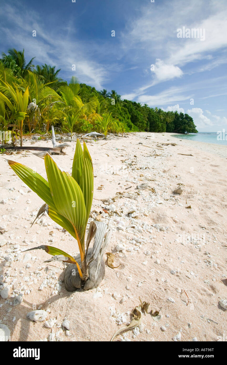 Tuvalu beach hi-res stock photography and images - Alamy