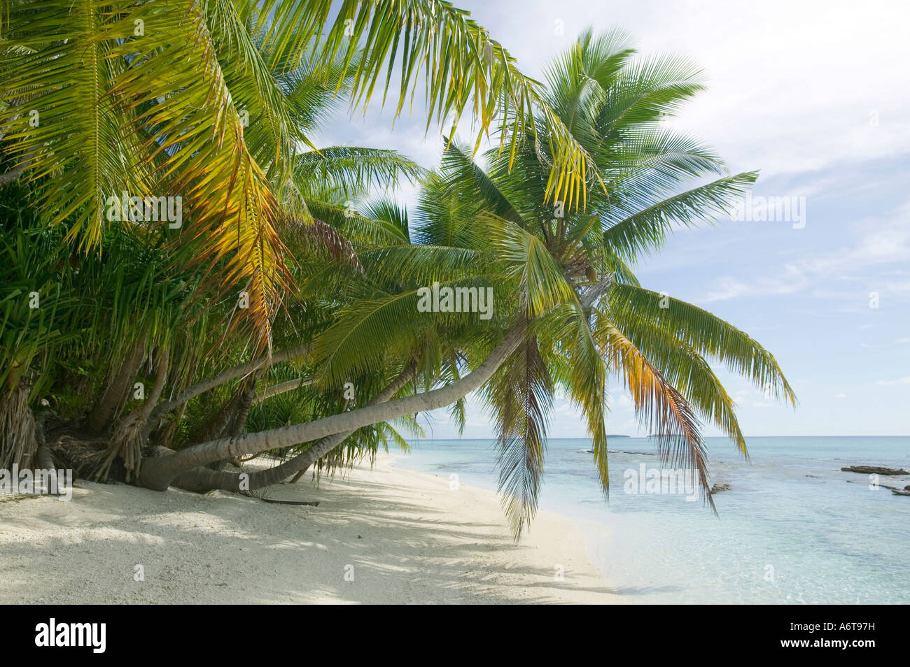 Tuvalu beach hi-res stock photography and images - Alamy