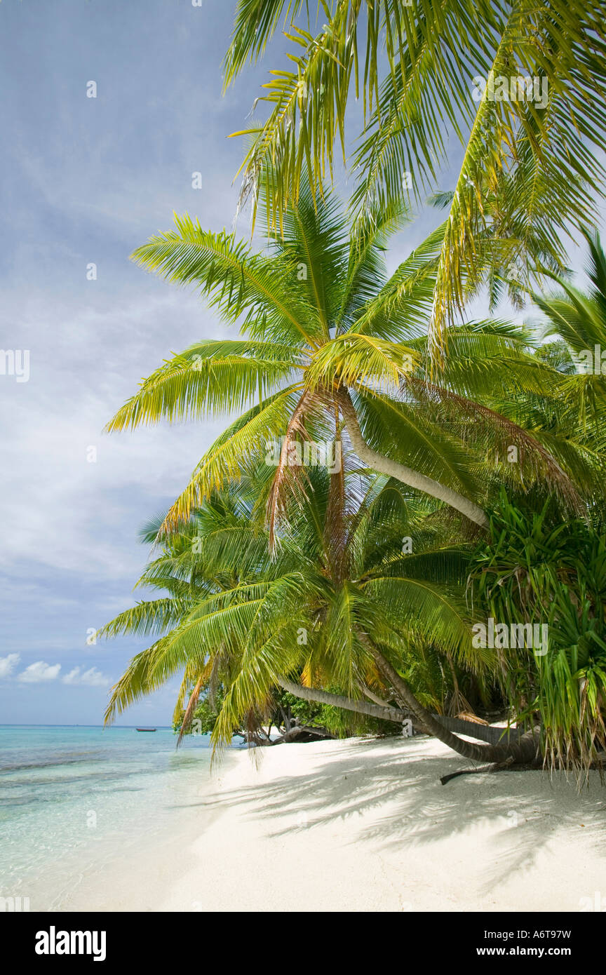 Tuvalu beach hi-res stock photography and images - Alamy