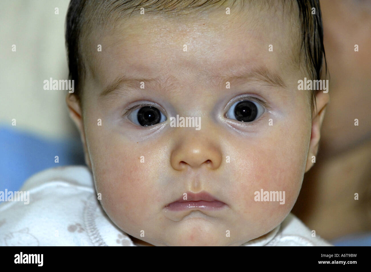 baby face head portrait caucasian girl female six weeks one two months ...