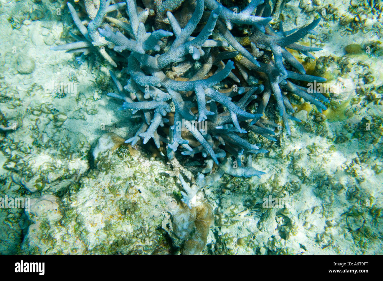 Tuvalu flood hi-res stock photography and images - Alamy