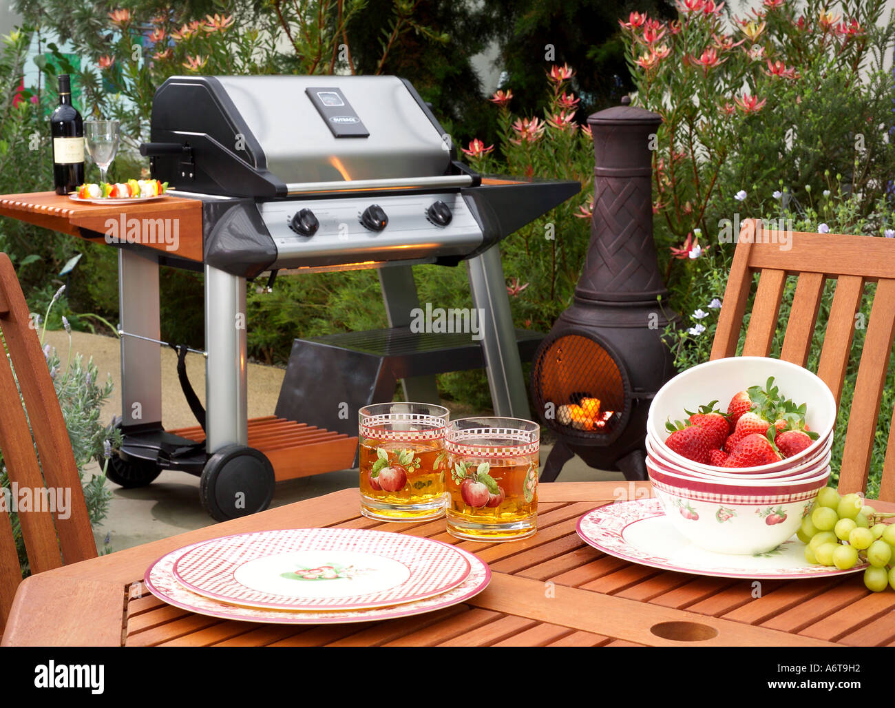 Ready to cook outdoors in the summer with gas fired barbecue Stock ...