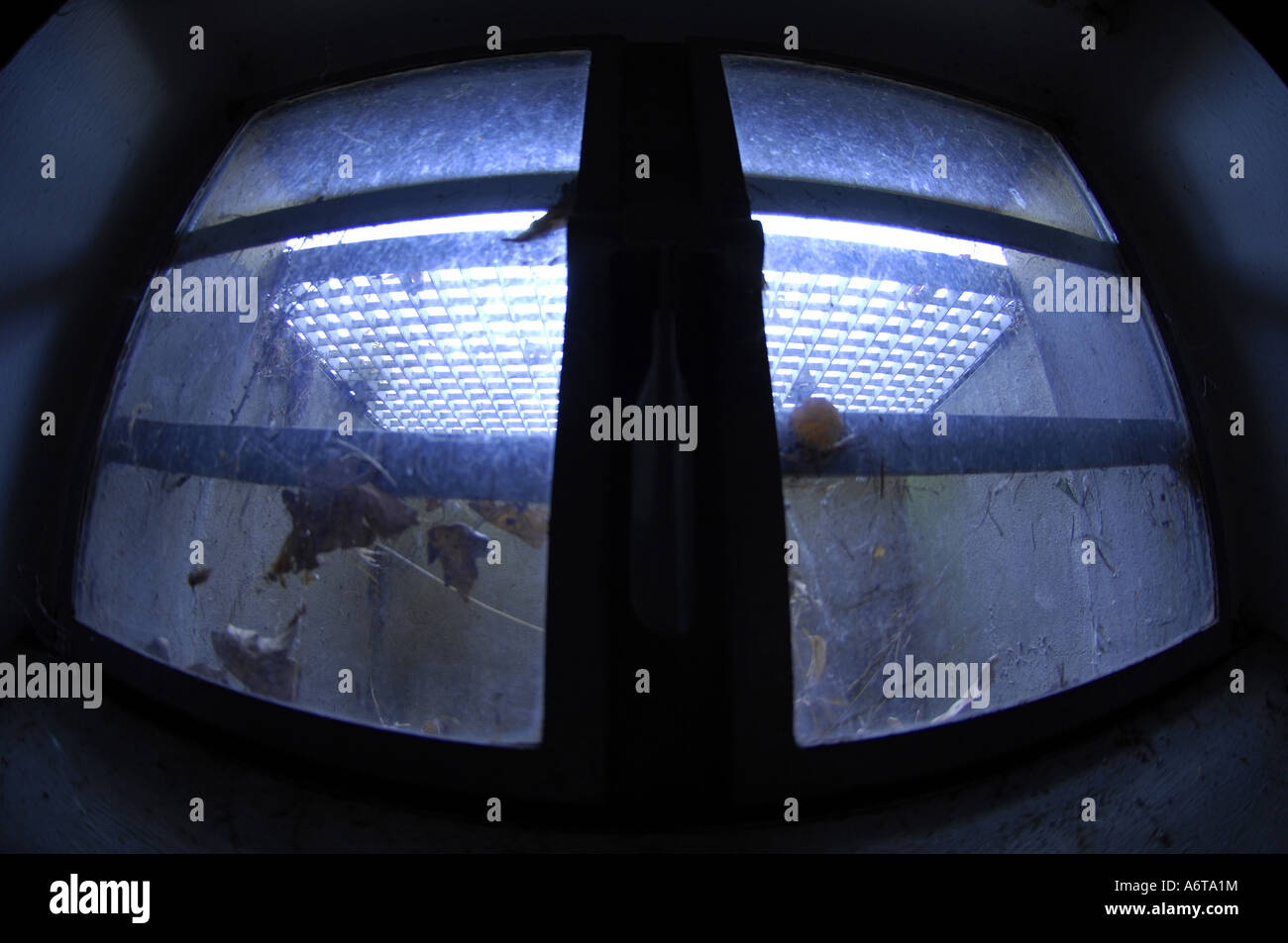grid window cellar wideangle below ground subterranean underground ...