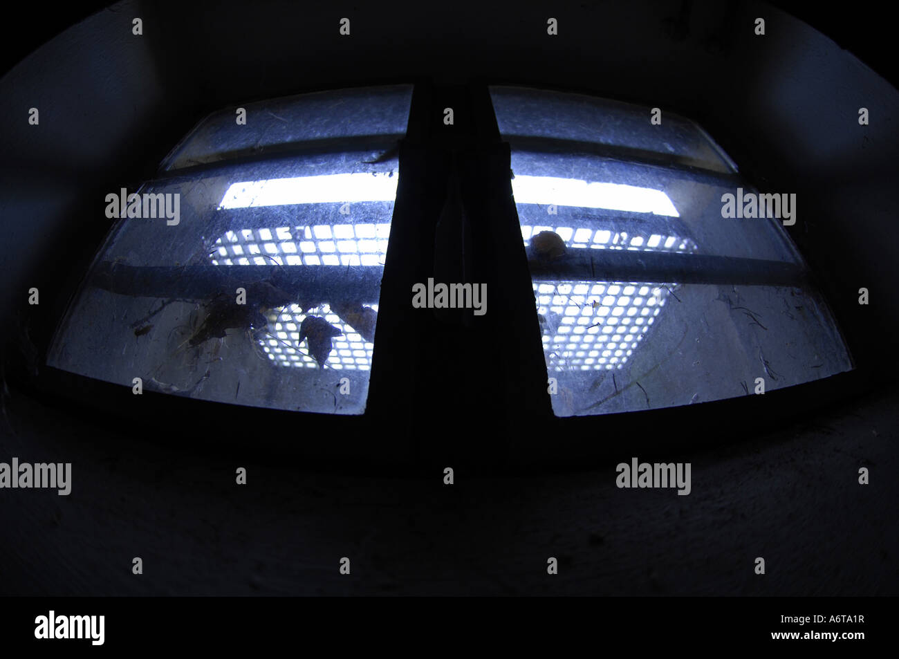 grid window cellar wideangle below ground subterranean underground ...
