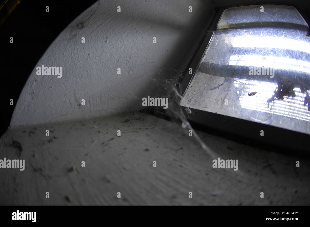 cobwebs window cellar wideangle Stock Photo - Alamy
