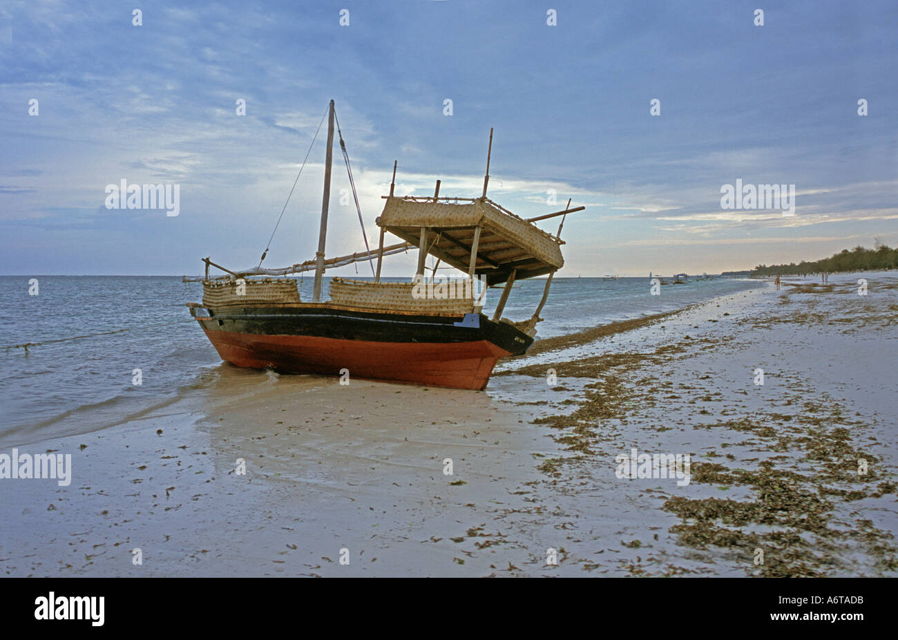 AFRICA, KENYA Mombasa Beach Traditional Arabic sailing dhow on the ...