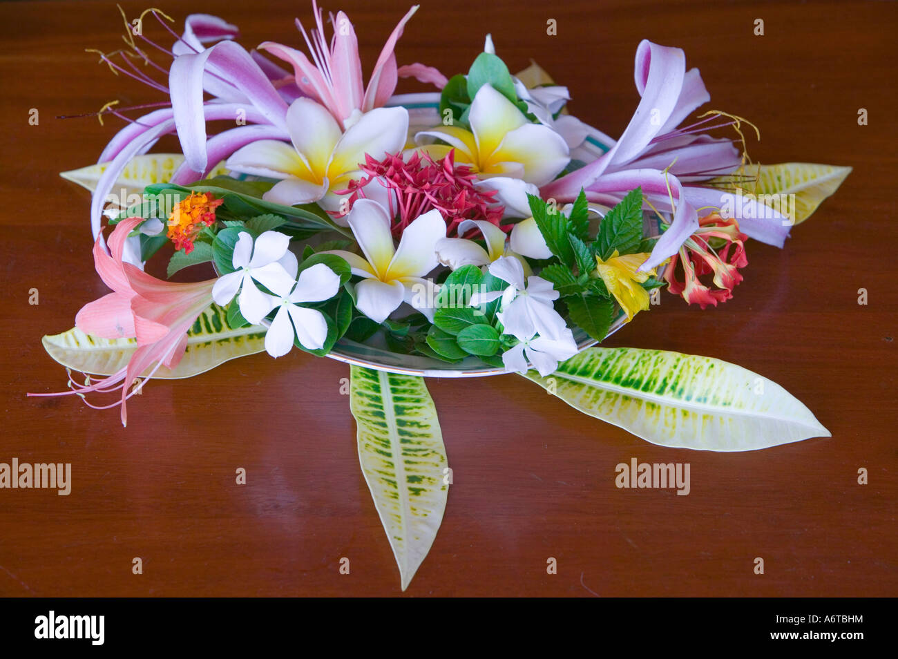 tropical flowers in a display on the hotel reception on Funafuti ...