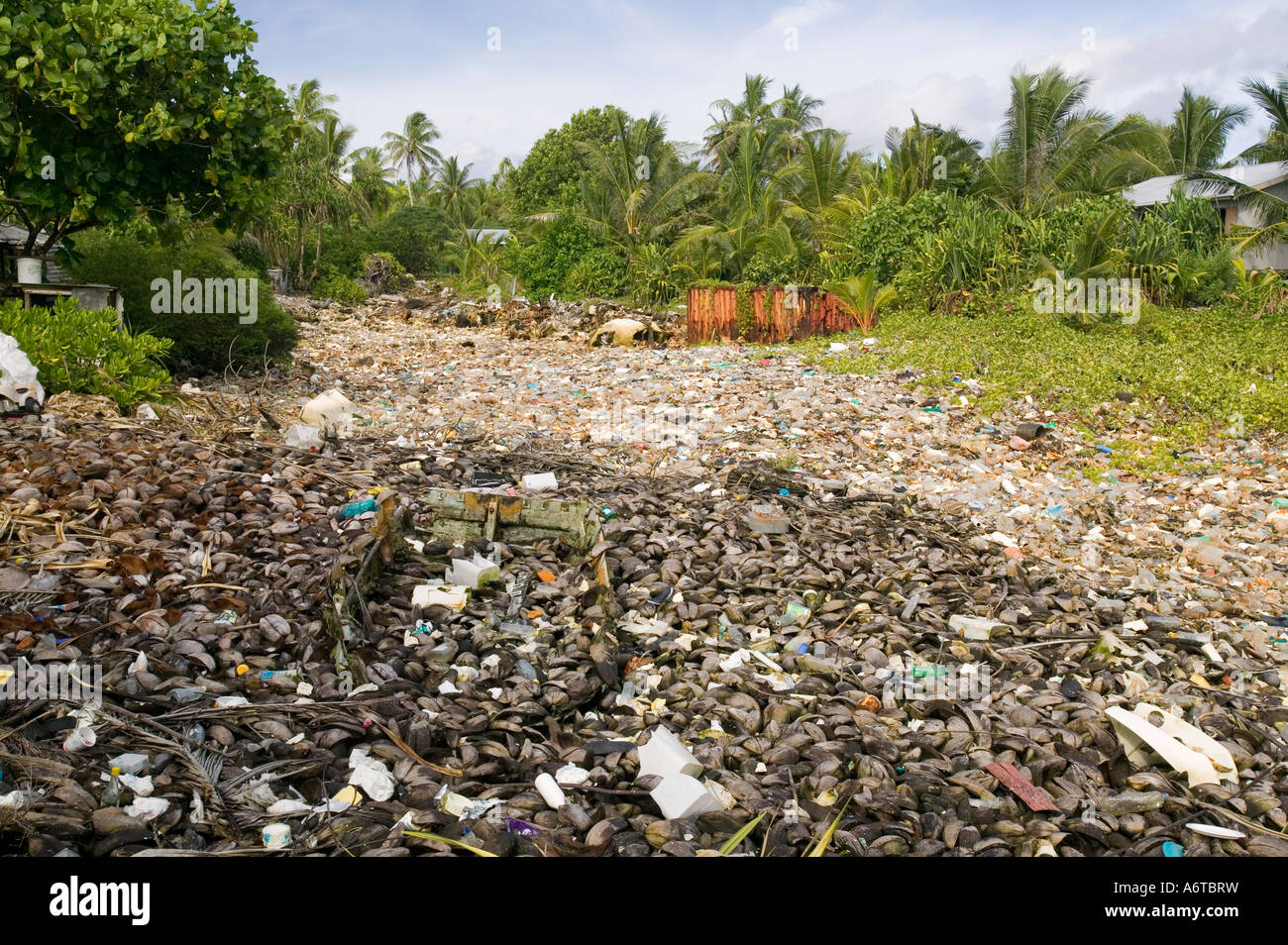 Tuvalu house funafuti hi-res stock photography and images - Alamy