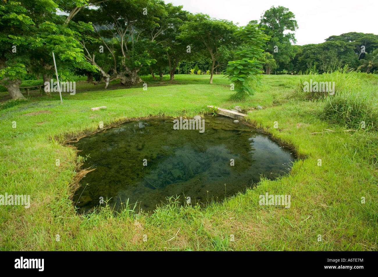 Thermal hot spring on Fiji, near Nadi Stock Photo - Alamy