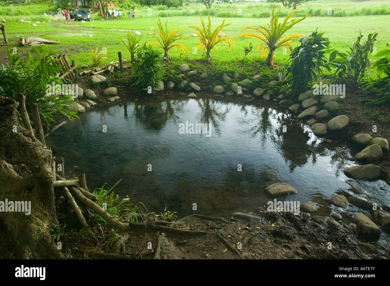 Thermal hot spring on Fiji, near Nadi Stock Photo - Alamy