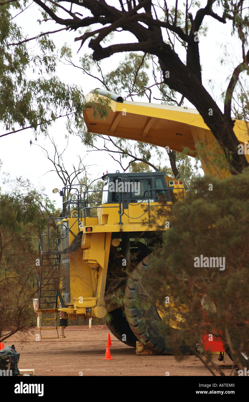 Indestructible trees hi-res stock photography and images - Alamy