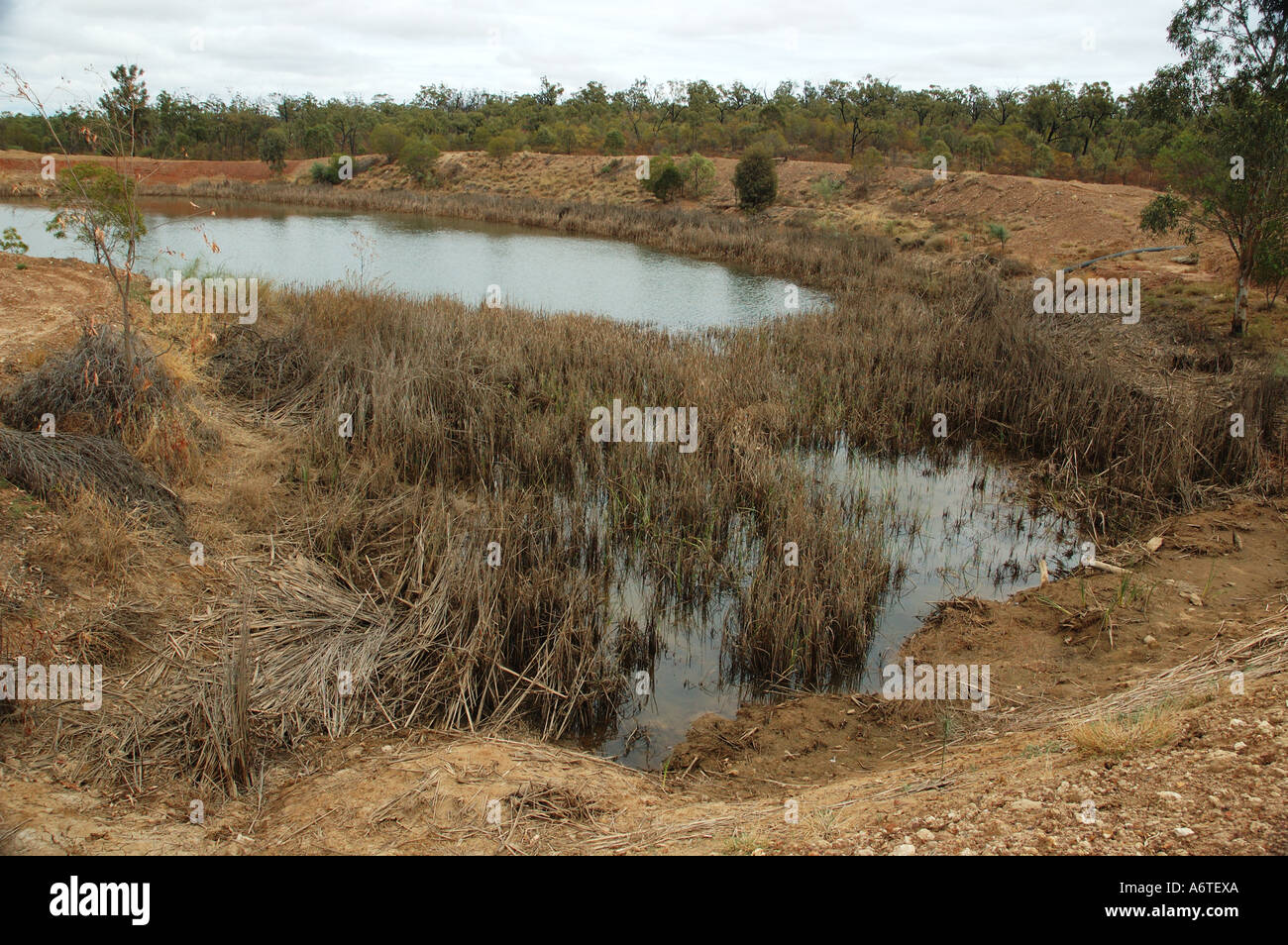 Tailings dam to prevent slurry runoff from coal mine Central Queensland ...