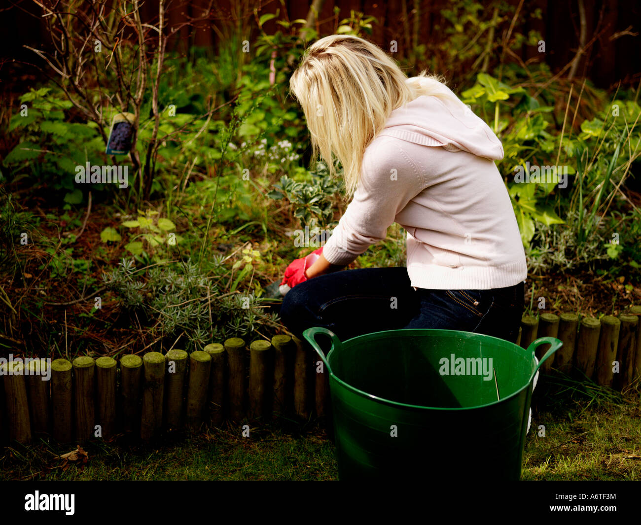 Young Woman Gardening Model Released Stock Photo - Alamy