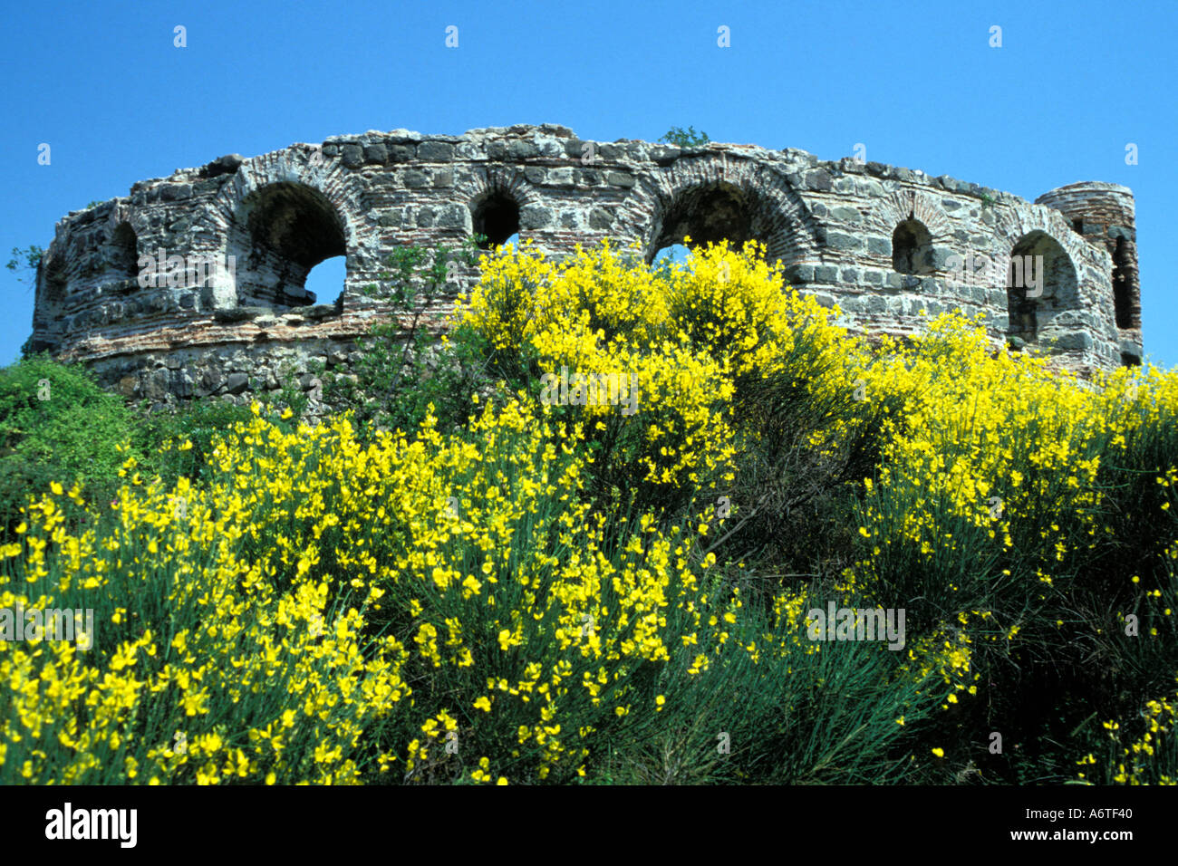 Genoese war hi-res stock photography and images - Alamy
