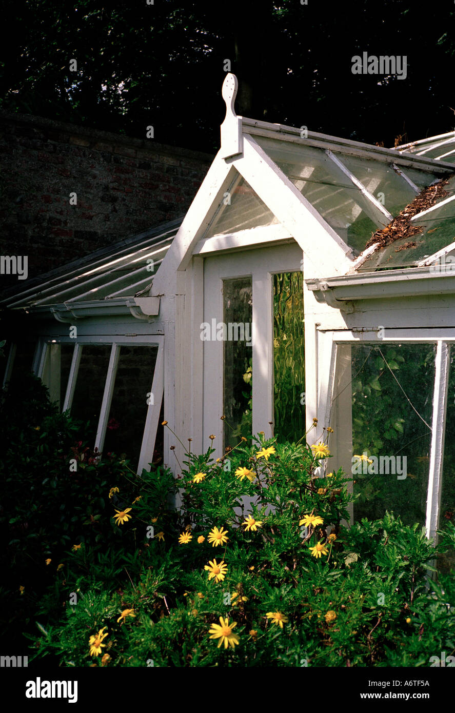 An old garden glass house Stock Photo - Alamy