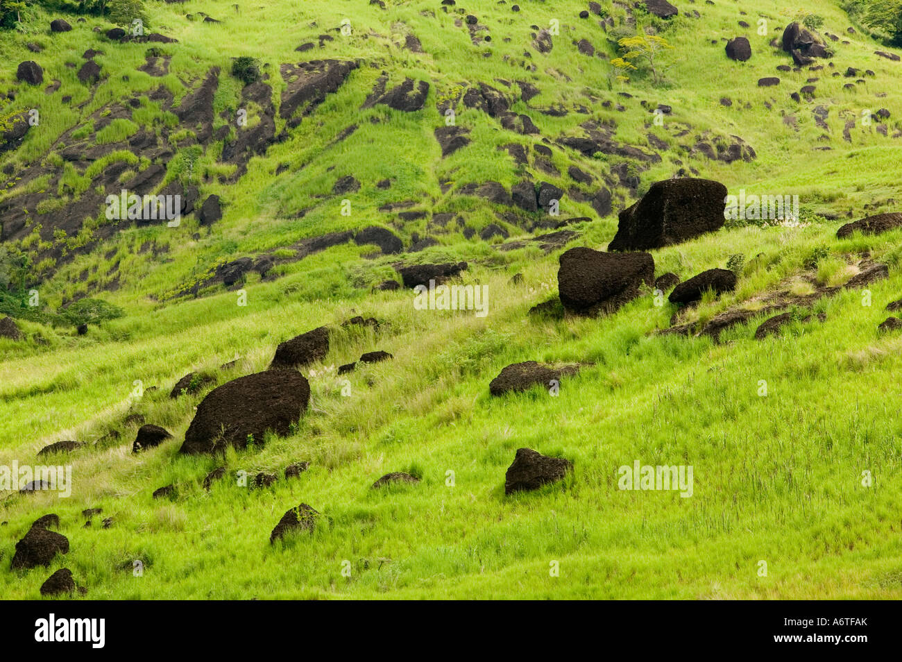 Volcanic blocks on Fiji Stock Photo - Alamy