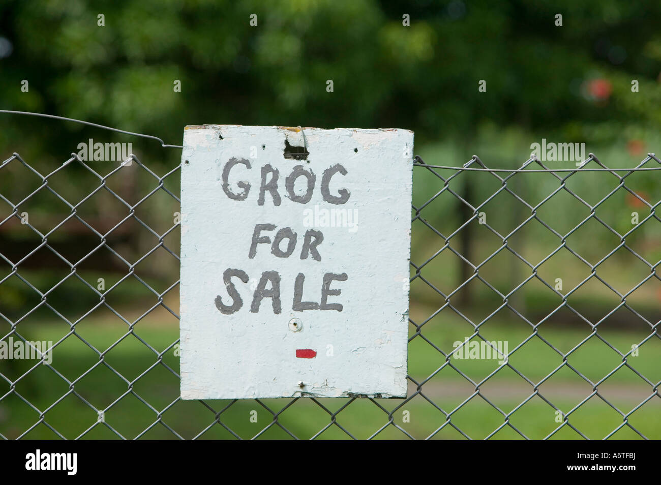 Grog for sale sign on Fiji Stock Photo - Alamy