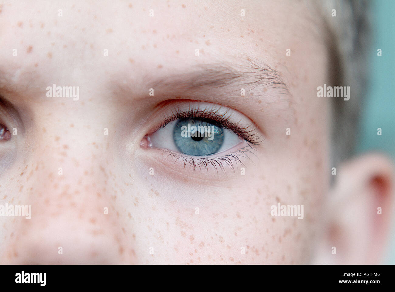 Close up of a young boy's face Stock Photo - Alamy