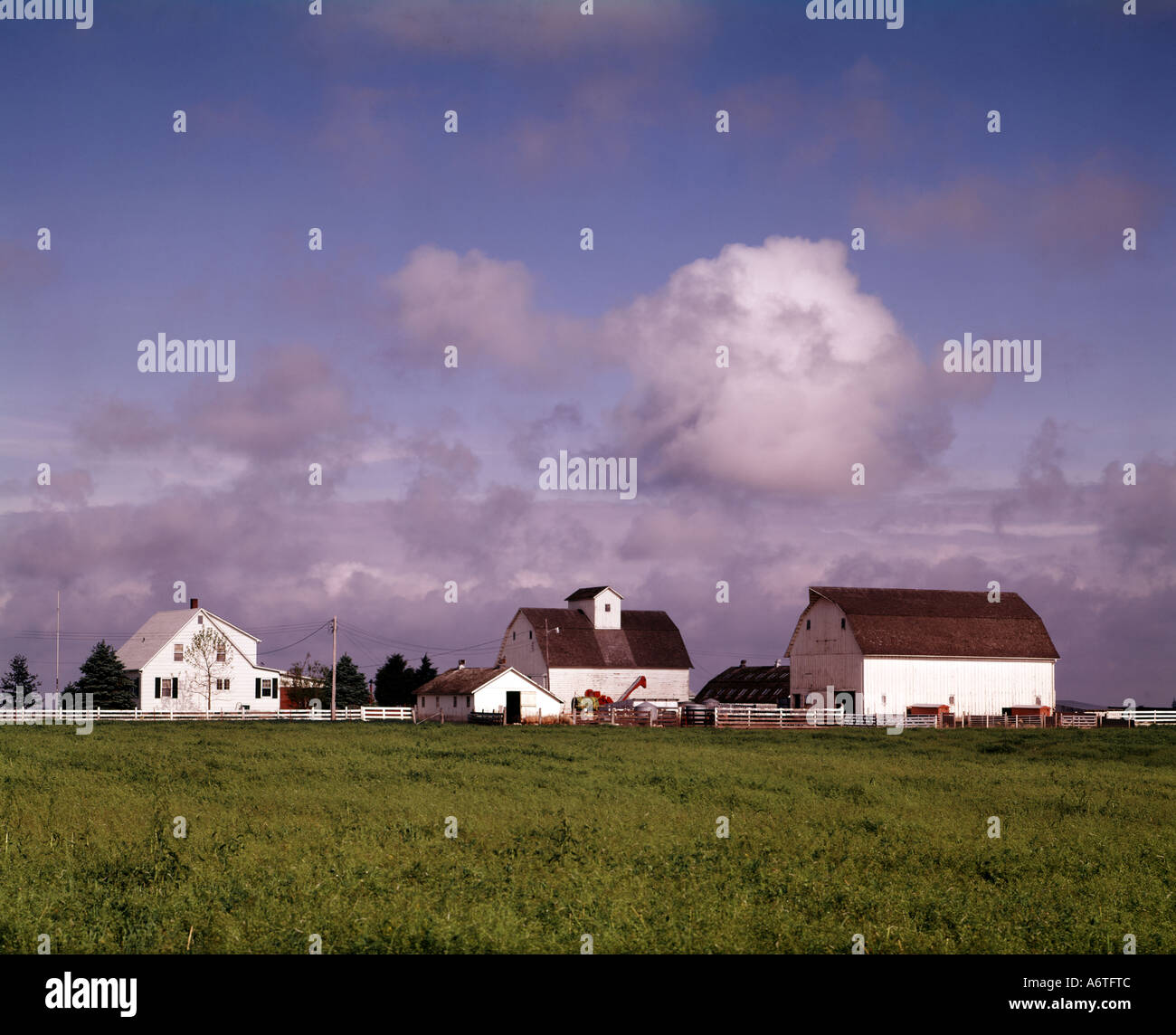 Farm buildings surrounded by farm machinery and green fields under a ...