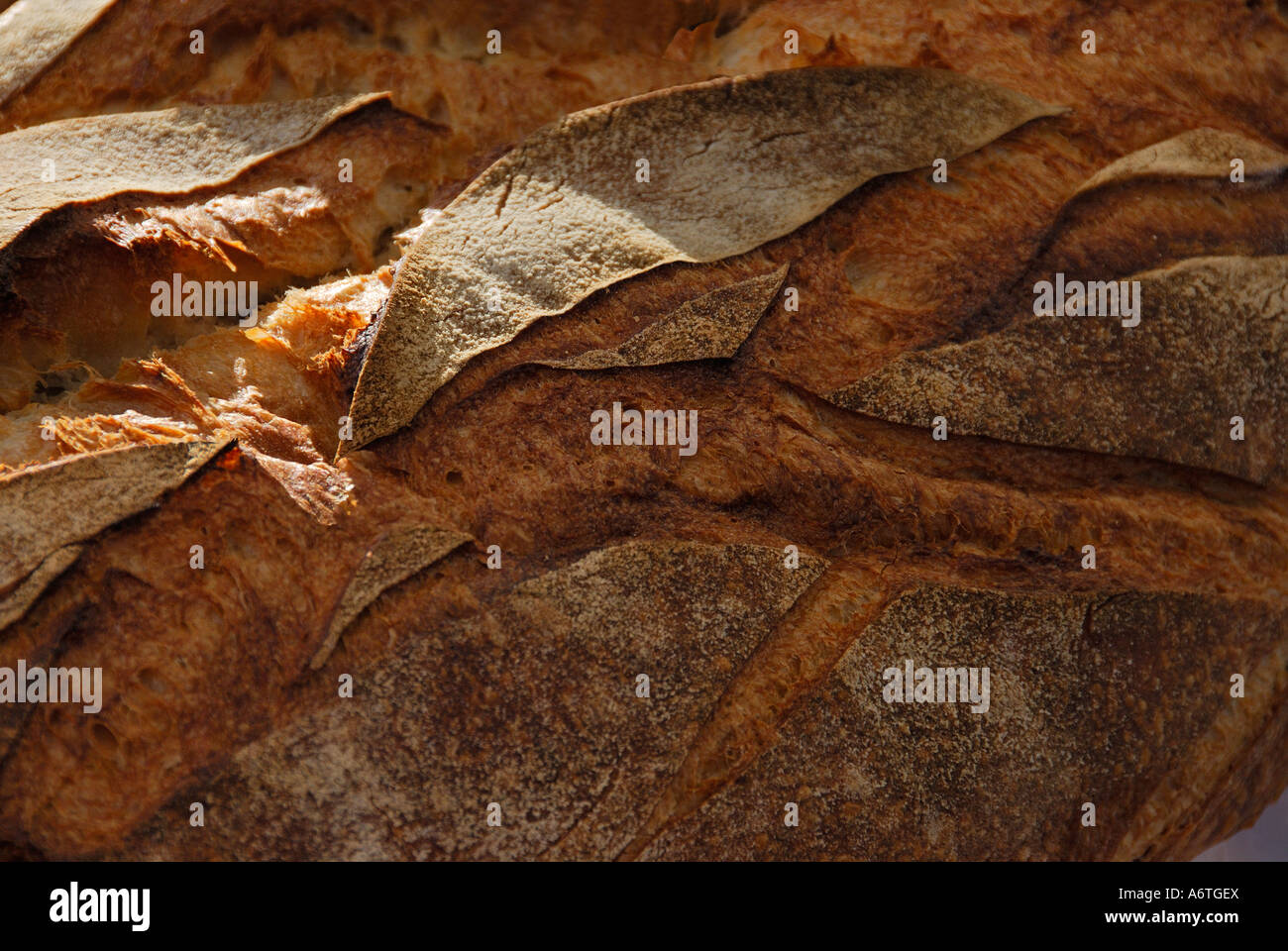 "A crusty loaf of bread, California Stock Photo - Alamy