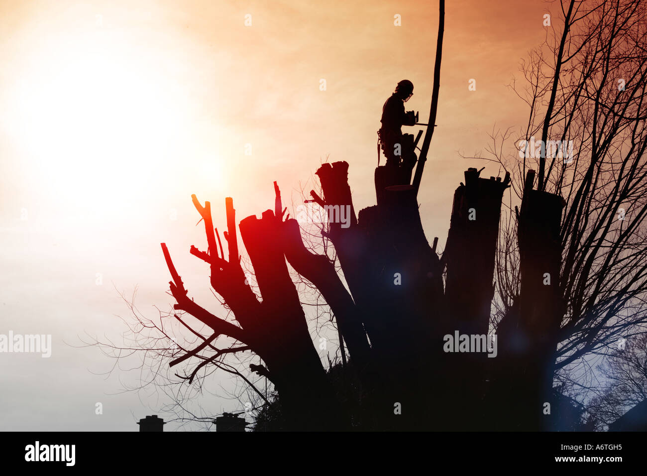 Tree surgeon silhouette hi-res stock photography and images - Alamy