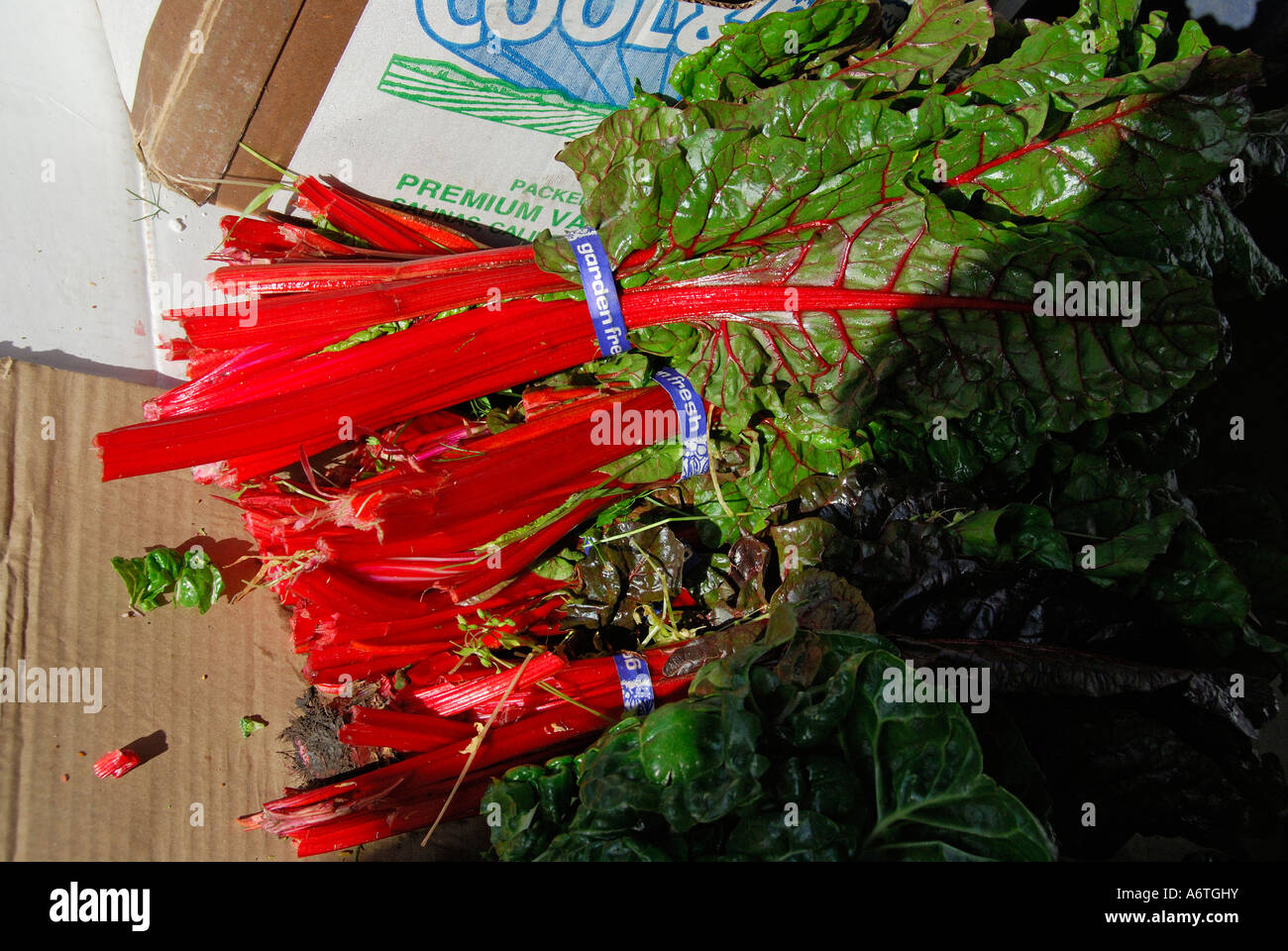 Cruciferous vegetable food nutrition health market hi-res stock ...