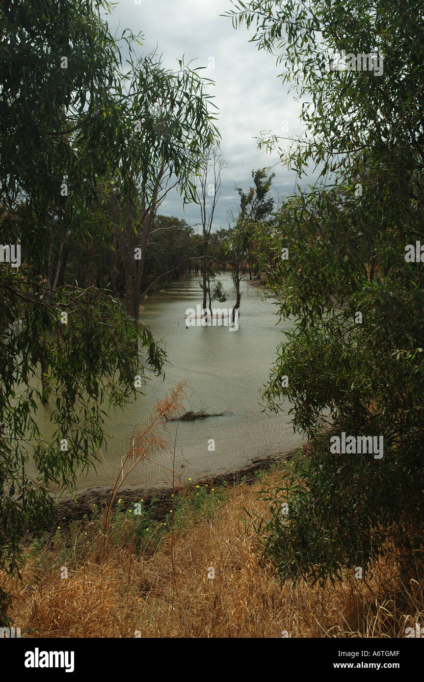 Outback Queensland inland river system Stock Photo - Alamy