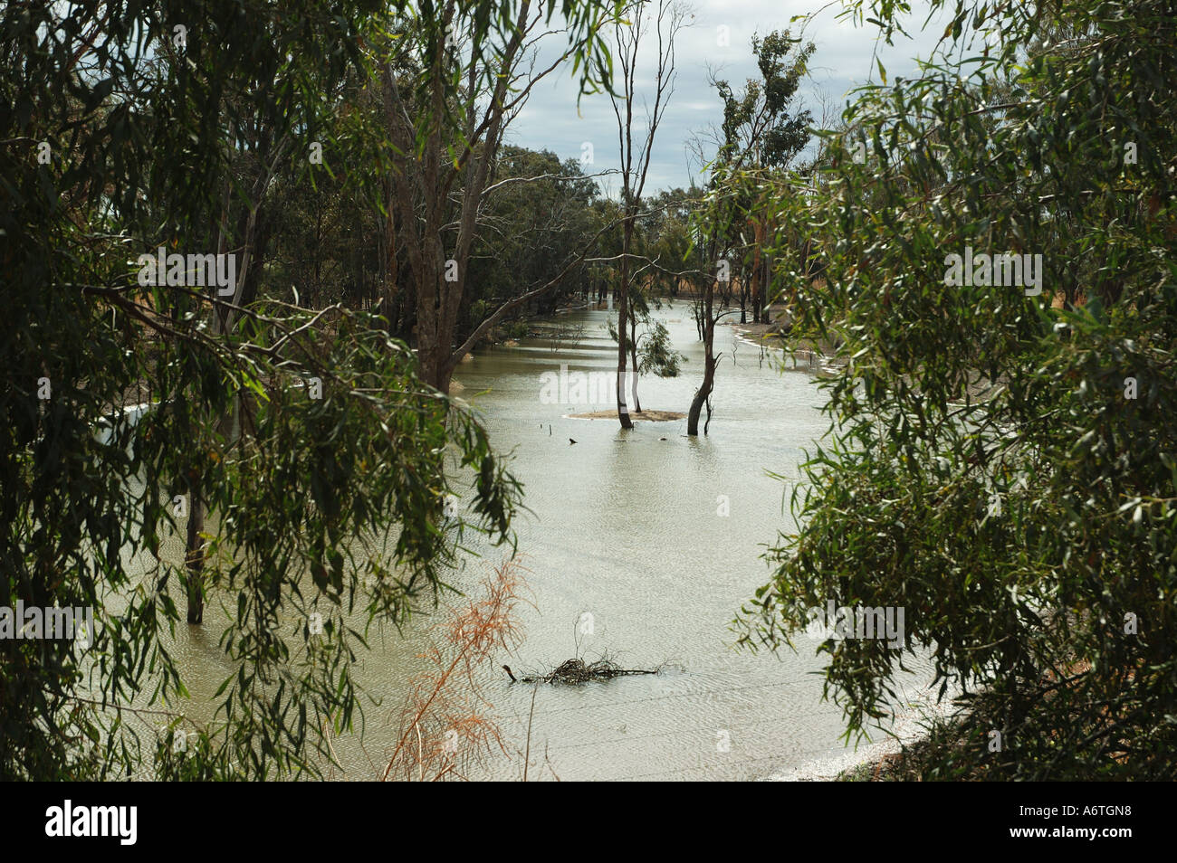 Outback Queensland inland river system Stock Photo - Alamy