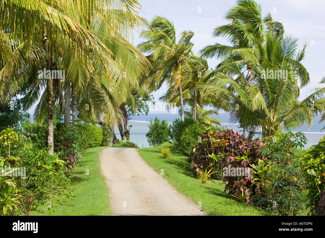 a driveway to a hotel resort on Fiji Stock Photo - Alamy