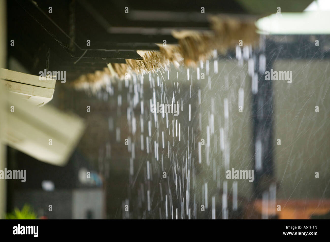A tropical downpour on Fiji Stock Photo - Alamy