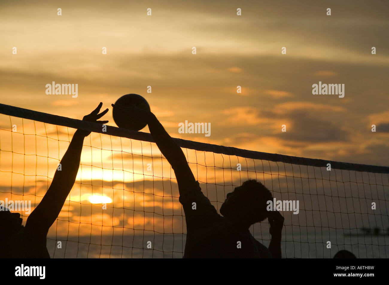 Fijians playing beach volleyball at Walu Beach resort on Malolo Island ...