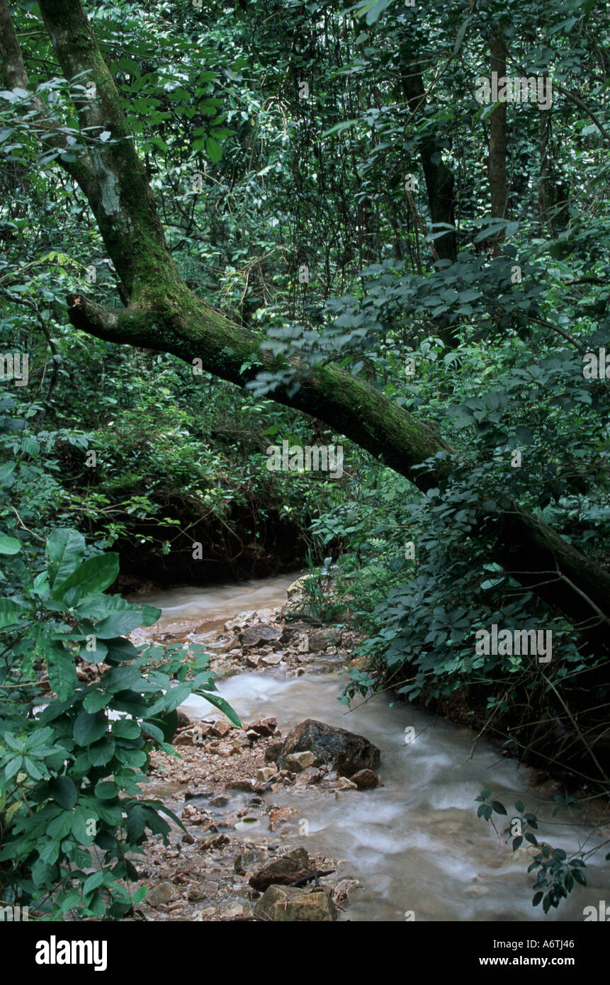 Gombe national park hi-res stock photography and images - Alamy