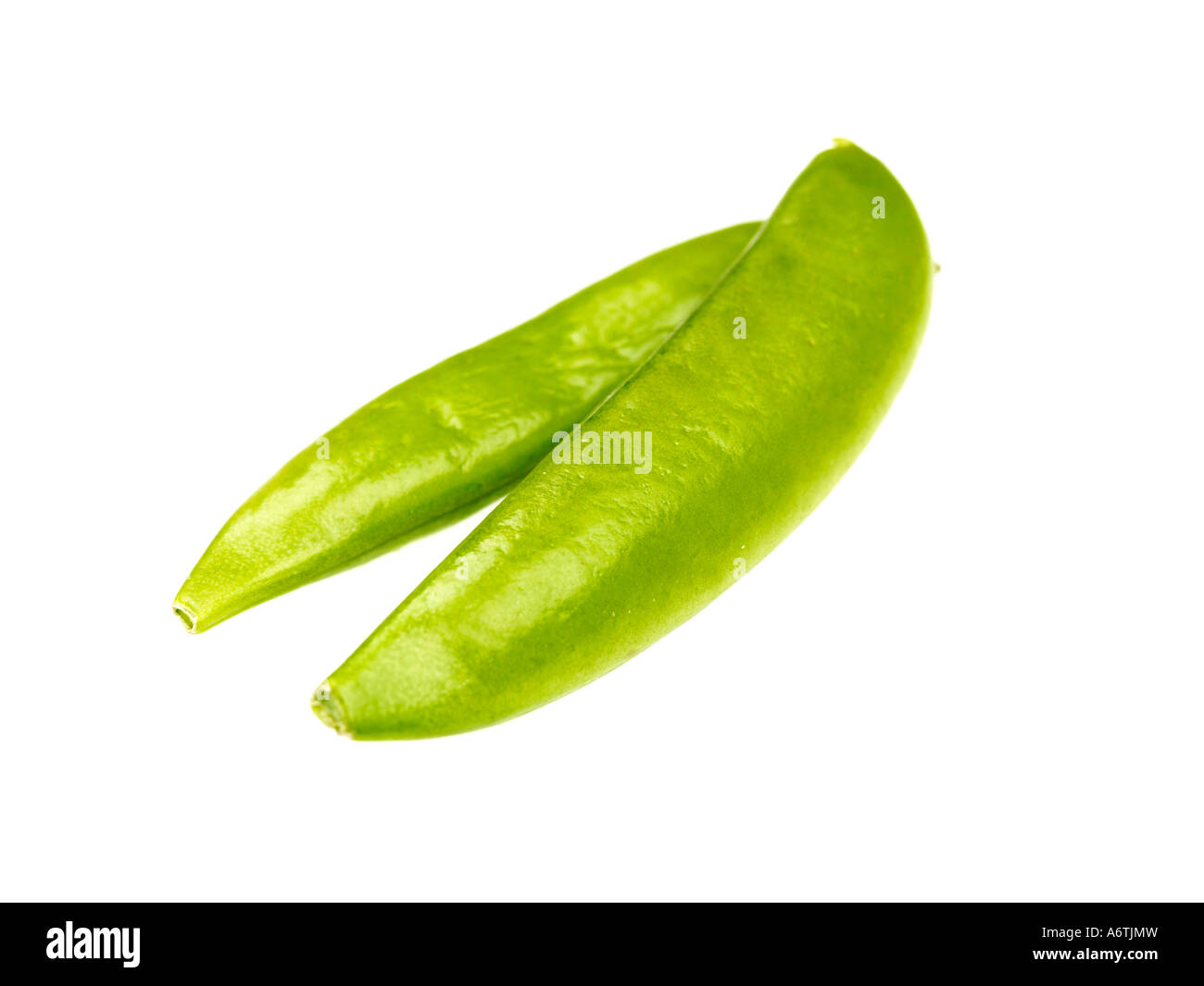 Tout for Cut Out Stock Images & Pictures - Alamy