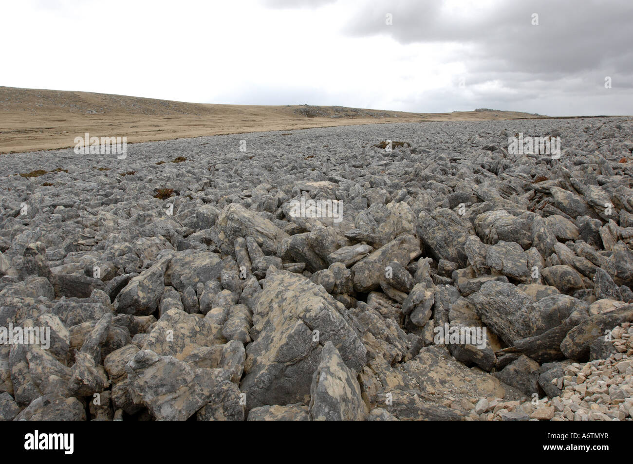 The stones runs of Wickham Heights, Falkland Islands Stock Photo - Alamy
