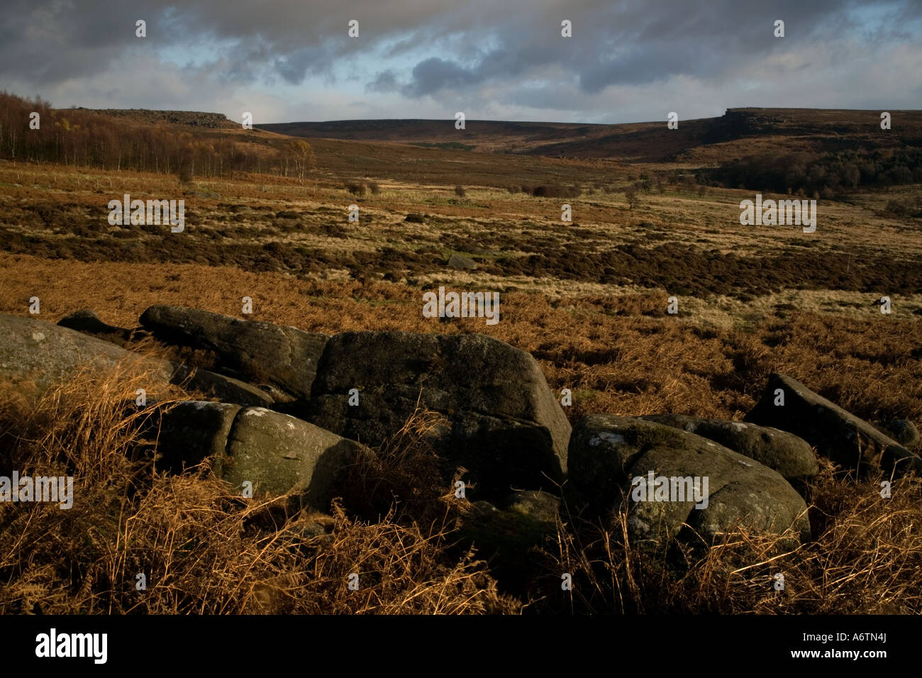 Rocks on Lawrencefield part of the Longshaw Estate in the Peak District ...