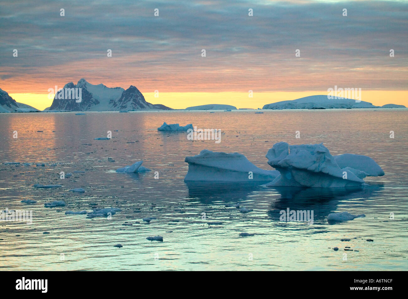 Peltier Channel in the last light of the day with ice all around the ...