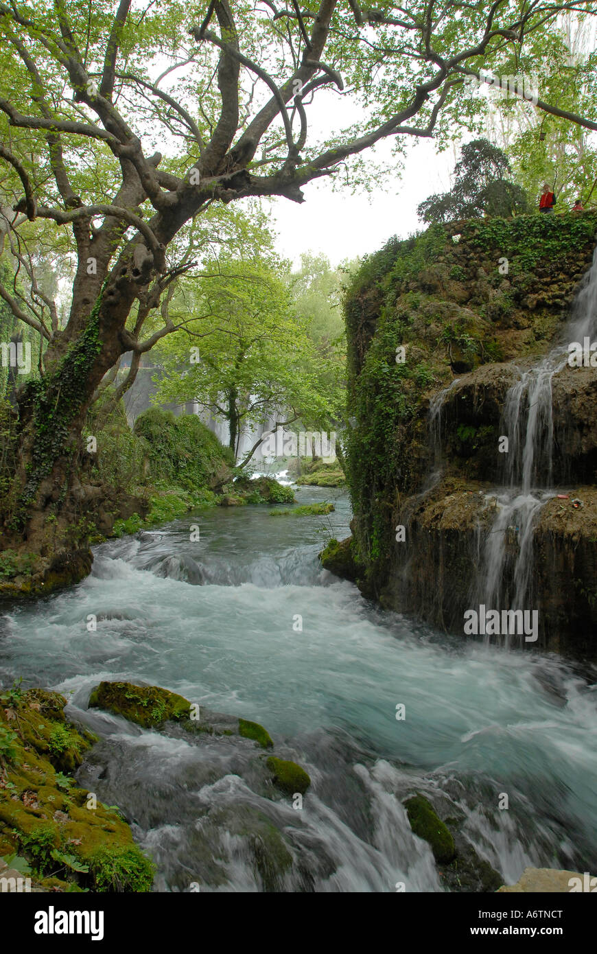 Alexander falls hi-res stock photography and images - Alamy