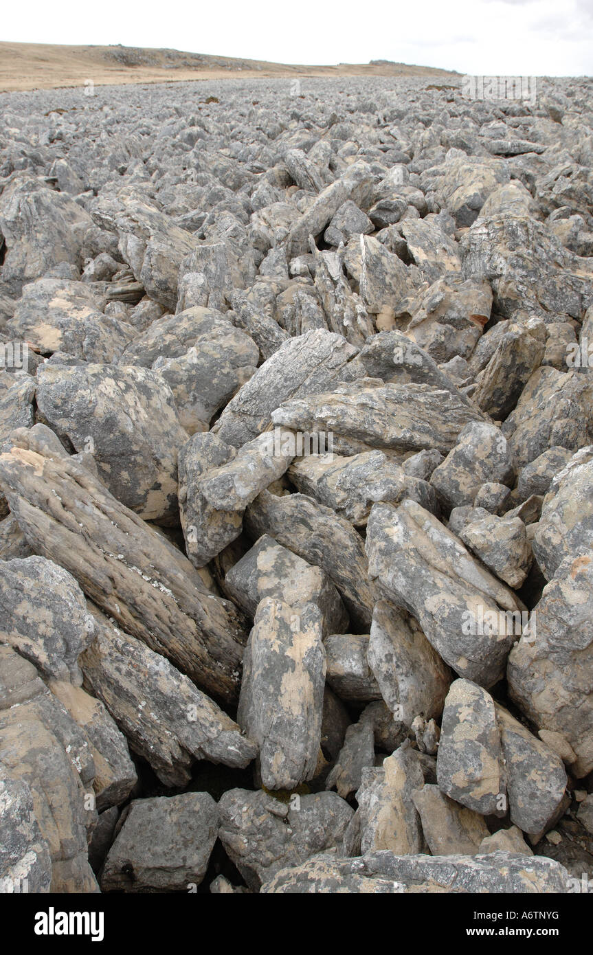 The stone runs of Wickham |Heights valley, Falkland Islands Stock Photo ...