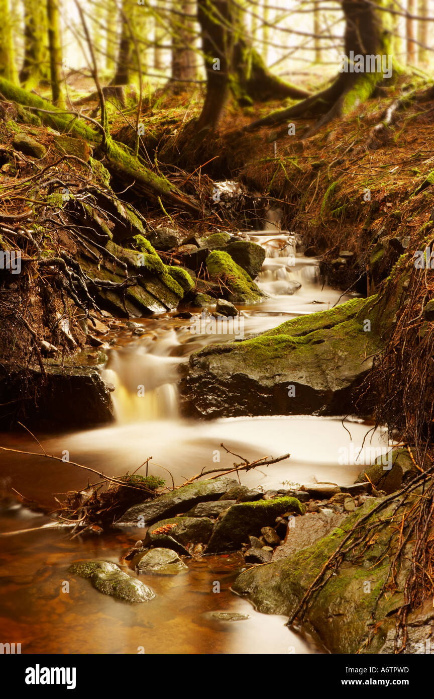 Torrie hi-res stock photography and images - Alamy