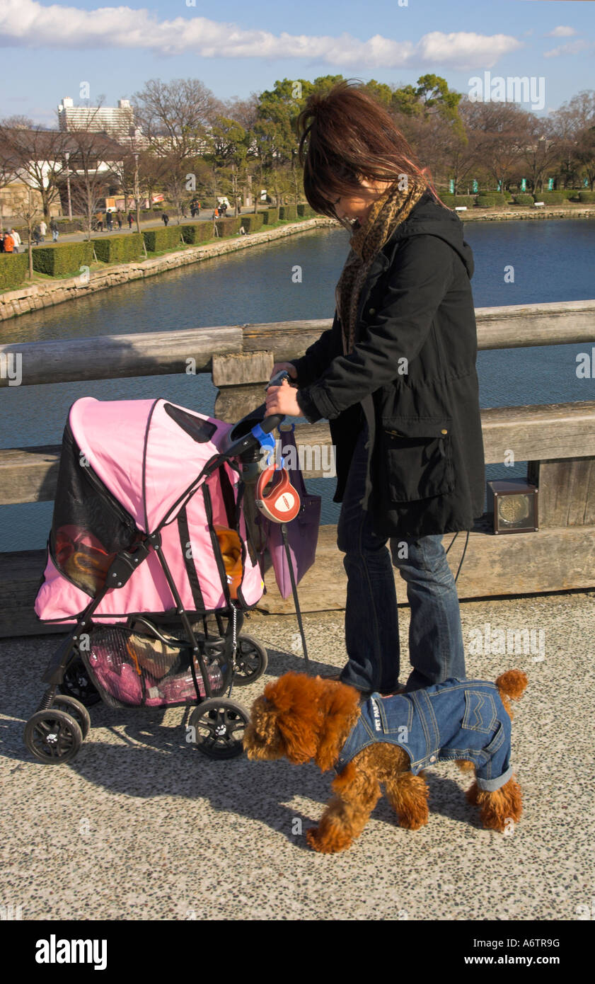 Japan Central Honshu Kansai Osaka public park young woman with pink ...