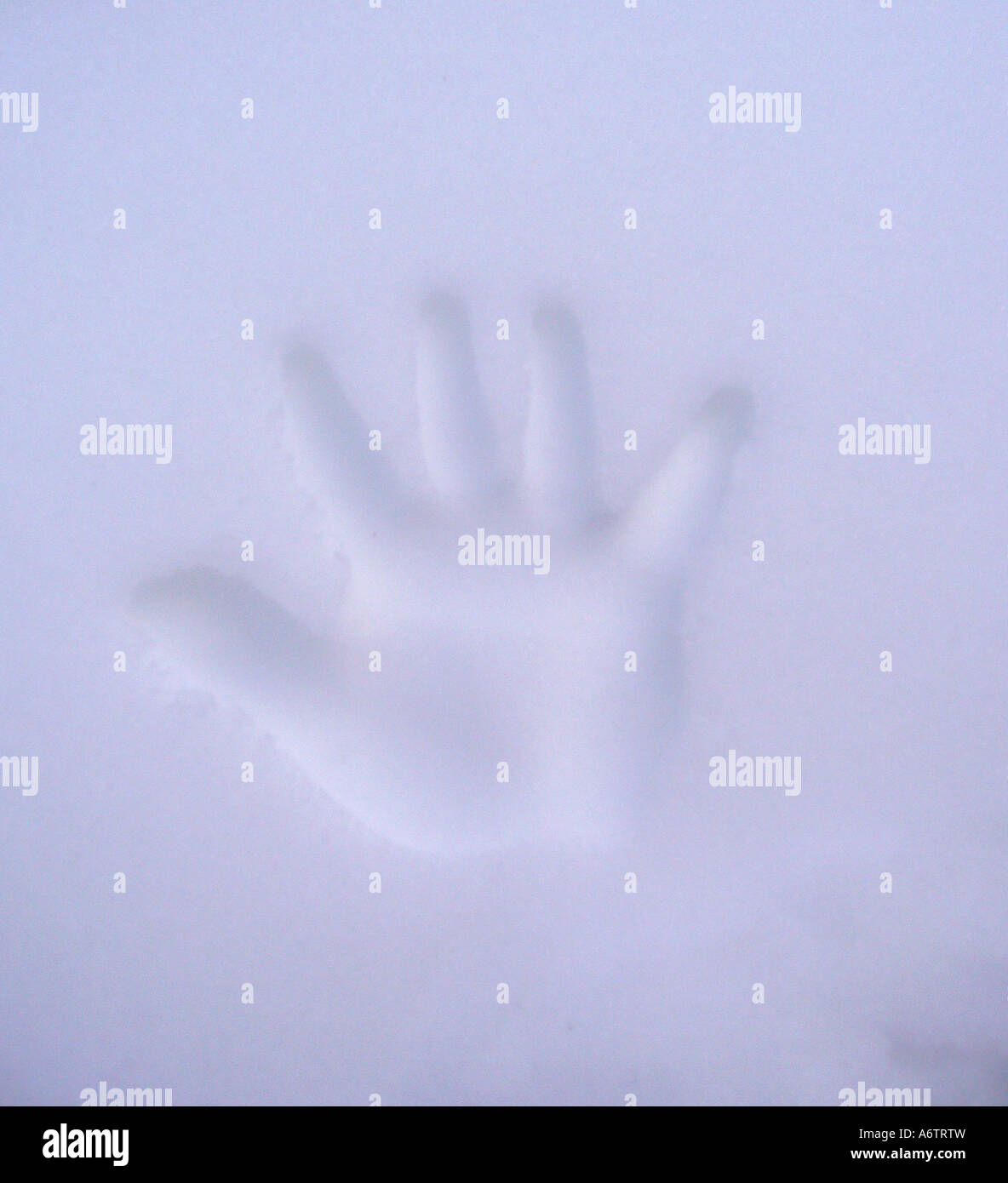 handprint in the snow Stock Photo - Alamy