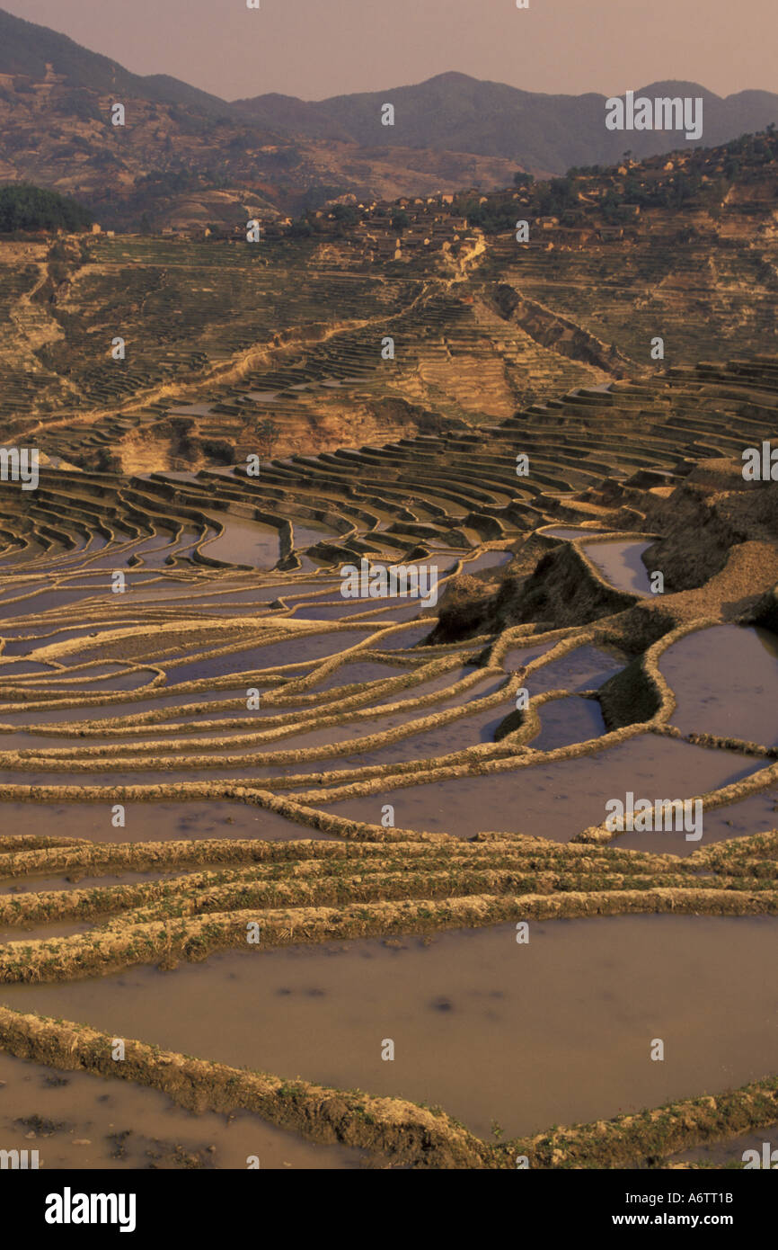China, Yunnan Province, Rice terraces Stock Photo - Alamy