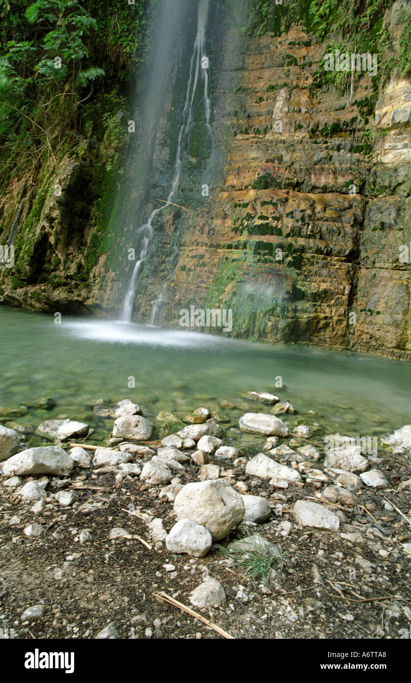 Nahal David 16 Stock Photo - Alamy