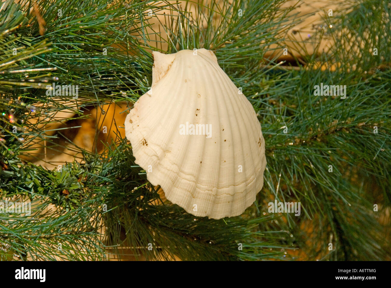 Sea shell Christmas wreath decoration Stock Photo - Alamy