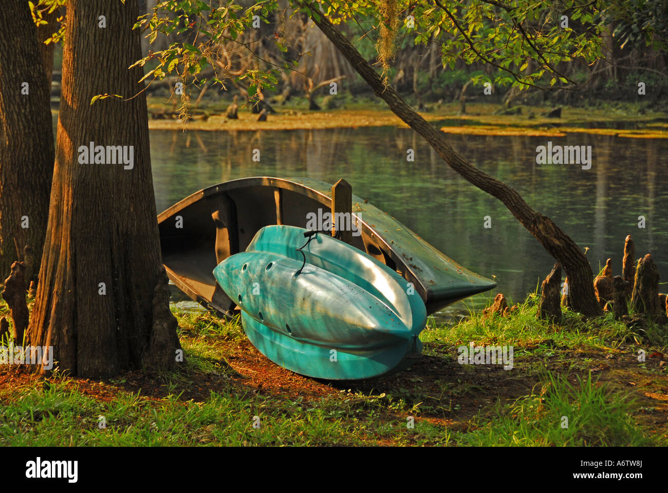 Manatee Springs State Park Florida spring run kayak against tree ...